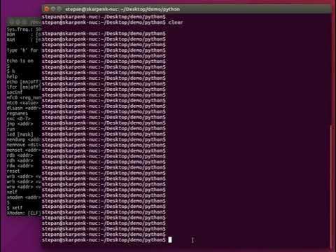Running Zephyr RTOS and MicroPython on a custom MIPS-I based processor - YouTube