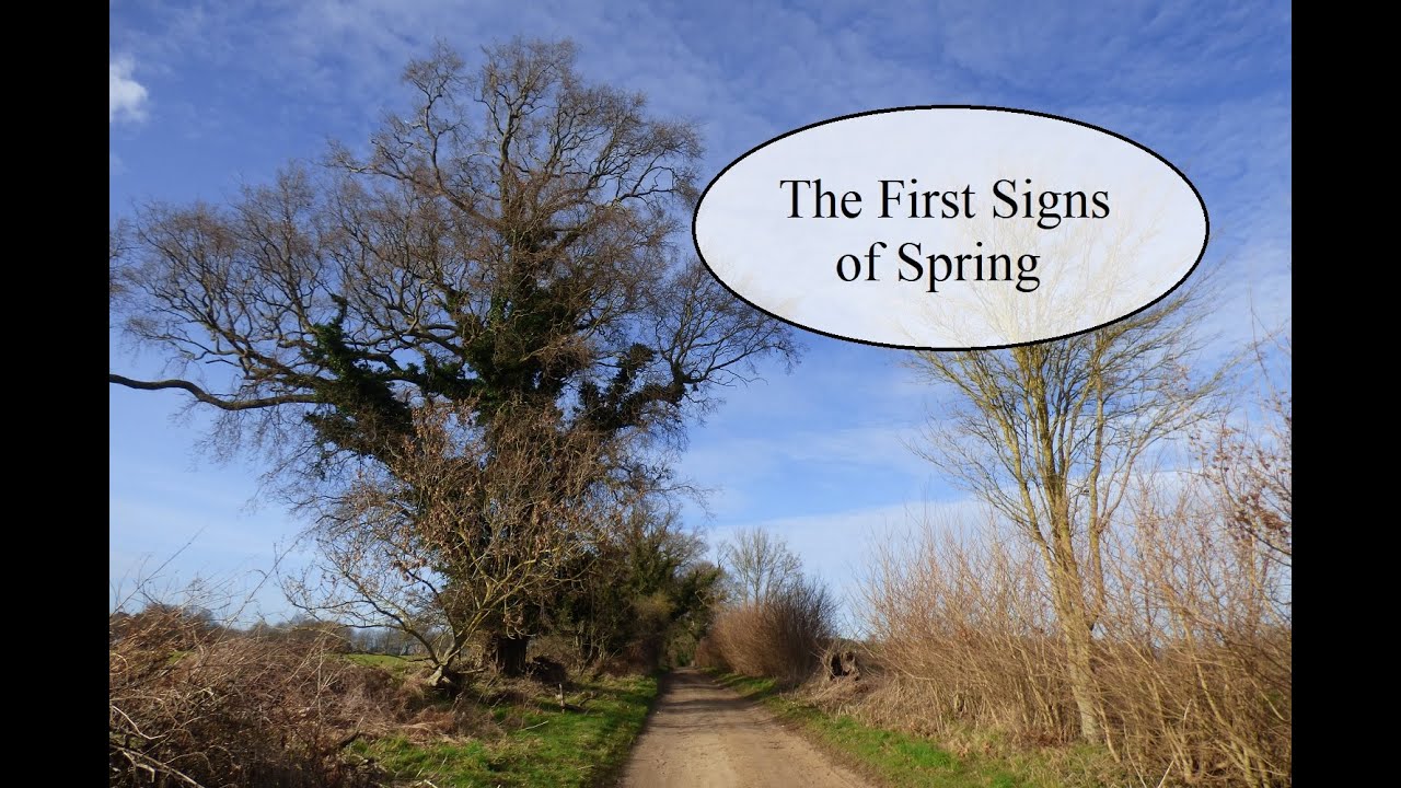The First Signs of Spring (Hope) - YouTube
