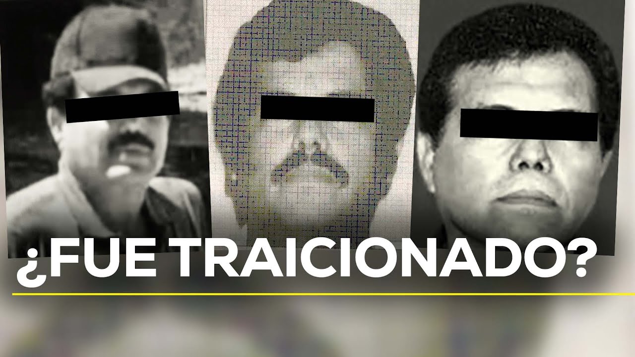 CaÍda De ‘el Mayo Zambada Ex Agente De La Dea Narra QuÉ PasÓ Con