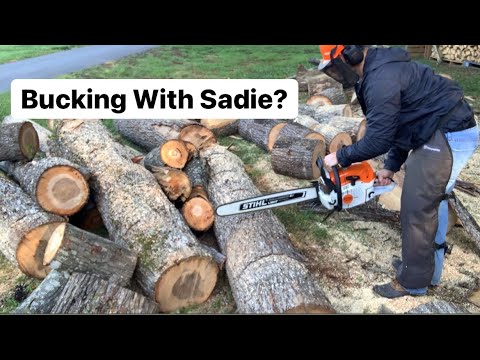 Bucking and Splitting Hickory Firewood. New Tool Makes It So Much ...