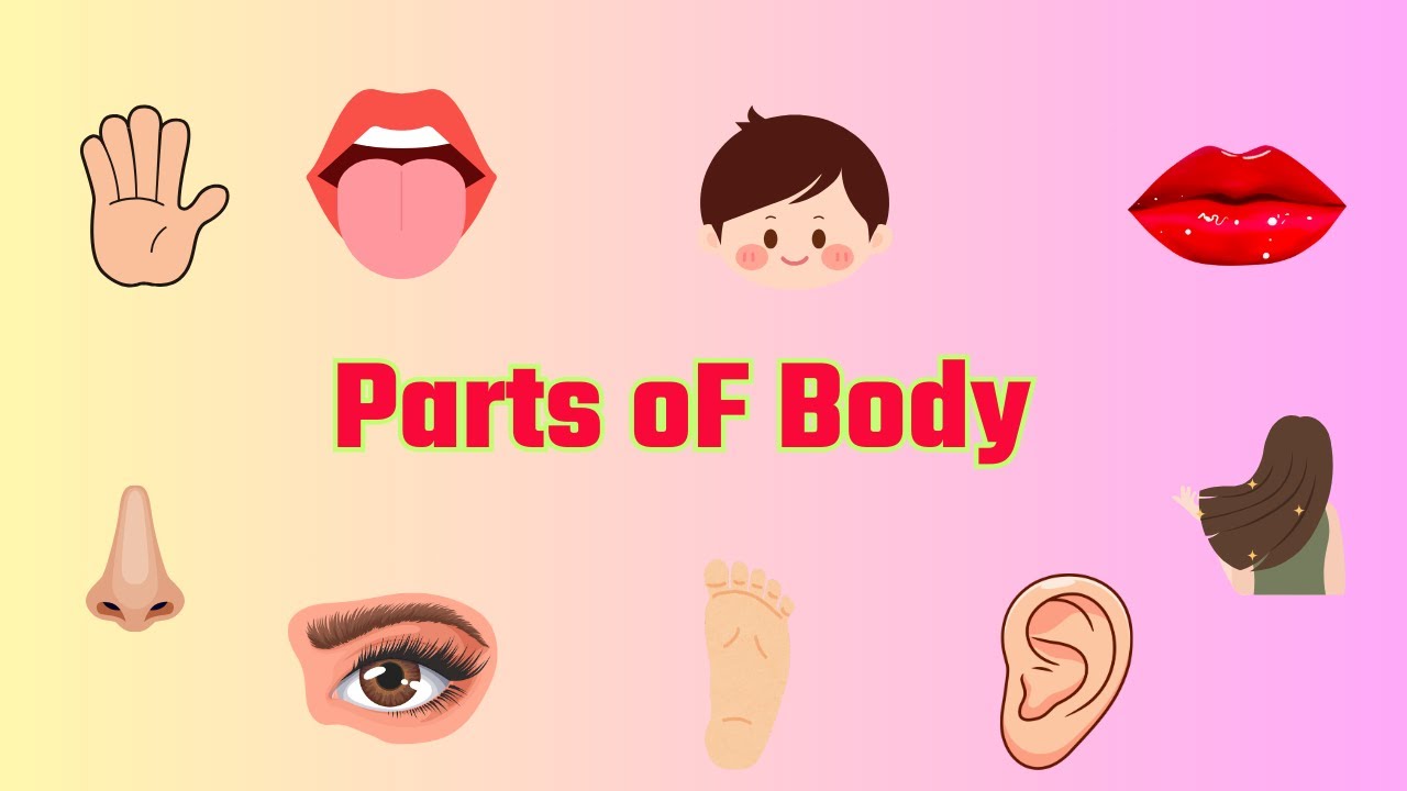 learn tha parts of body for children # nose hair neck - YouTube
