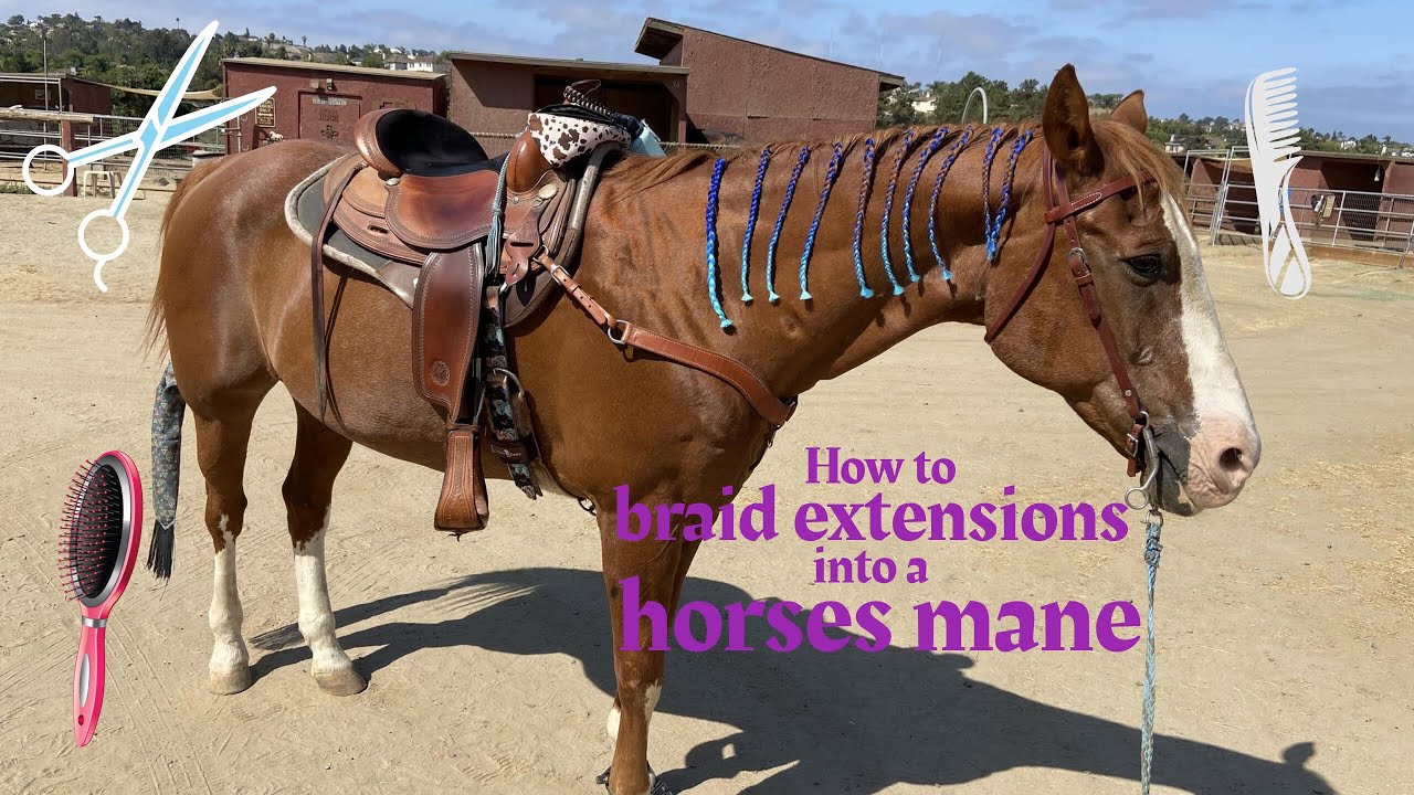 How to braid extensions in to horses mane - YouTube