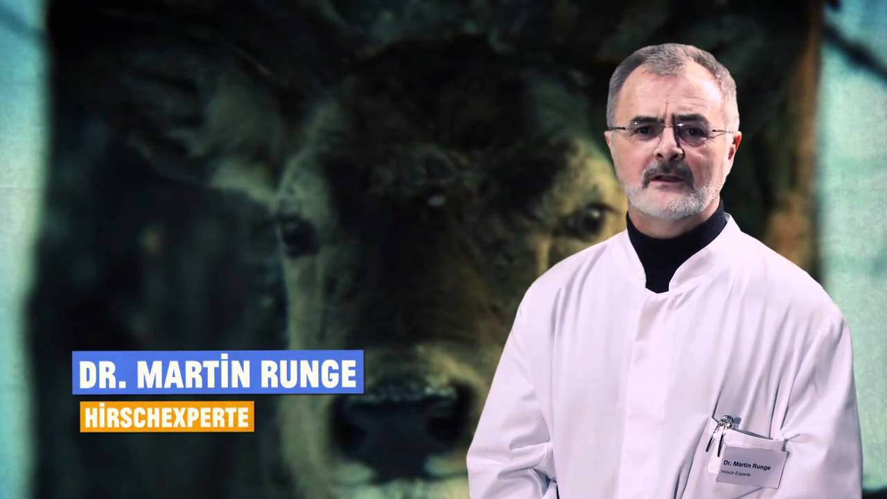 Dr. Runge erklärt Sebastian die Welt - Kopulation - YouTube