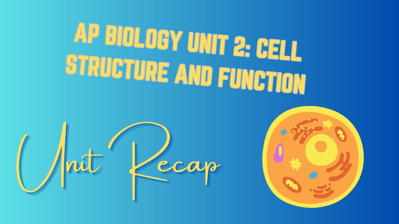 Unit 2 Cell Structure And Function AP Biology RECAP YouTube Unit 2 Cell Structure And Function AP Biology RECAP YouTube