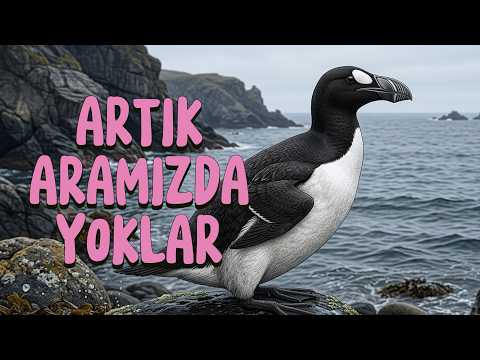 Dünyadan Nesli Tükenmiş 13 Hayvan (Hepsini Biliyor musun?)