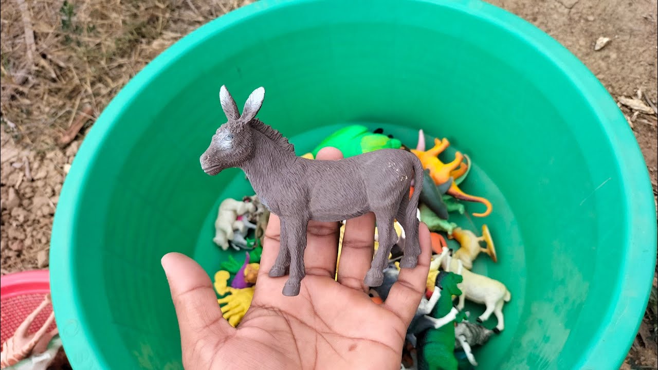 Plastic Animals Toys Unboxing Order Flipkart Donkey, Horse, T-rex ...