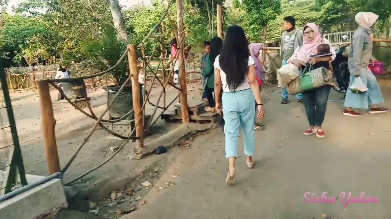 Pergi ke Kesambi Trees Park alias Maliran Deer Feeding!!! Rusanya ...