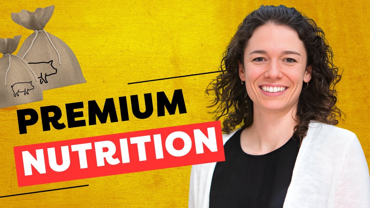 Dr. Lee Anne Huber: Alternative Feeding for Sows | Ep. 17 - YouTube