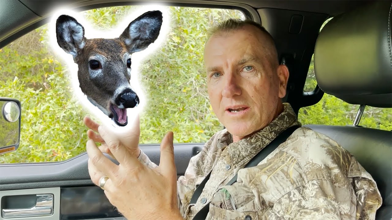 Plant these TREES to attract Moore DEER! - YouTube