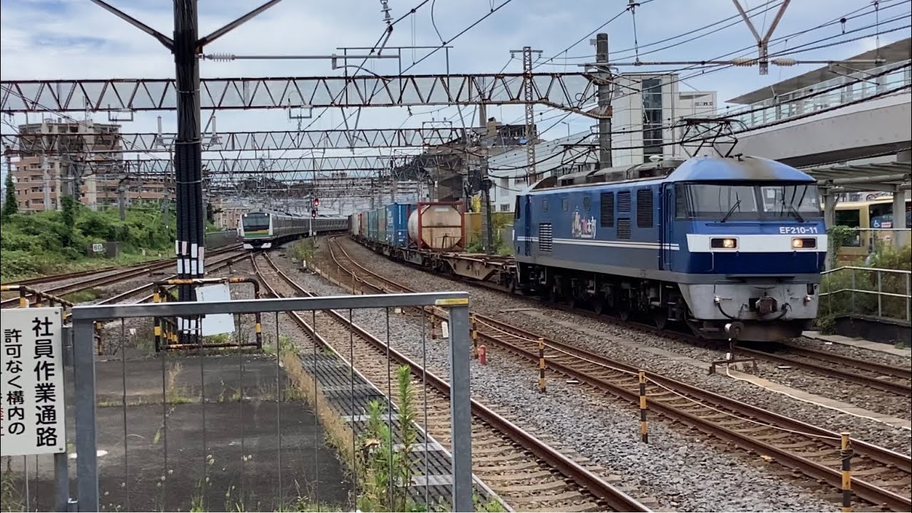 EF210-11と上野東京ライン普通籠原行きE233系1858EE-58+普通高崎行きE231系K-16、特急サフィール踊り子1号伊豆急下田行きE261系3001MRS1が JR大船駅を走行 ...