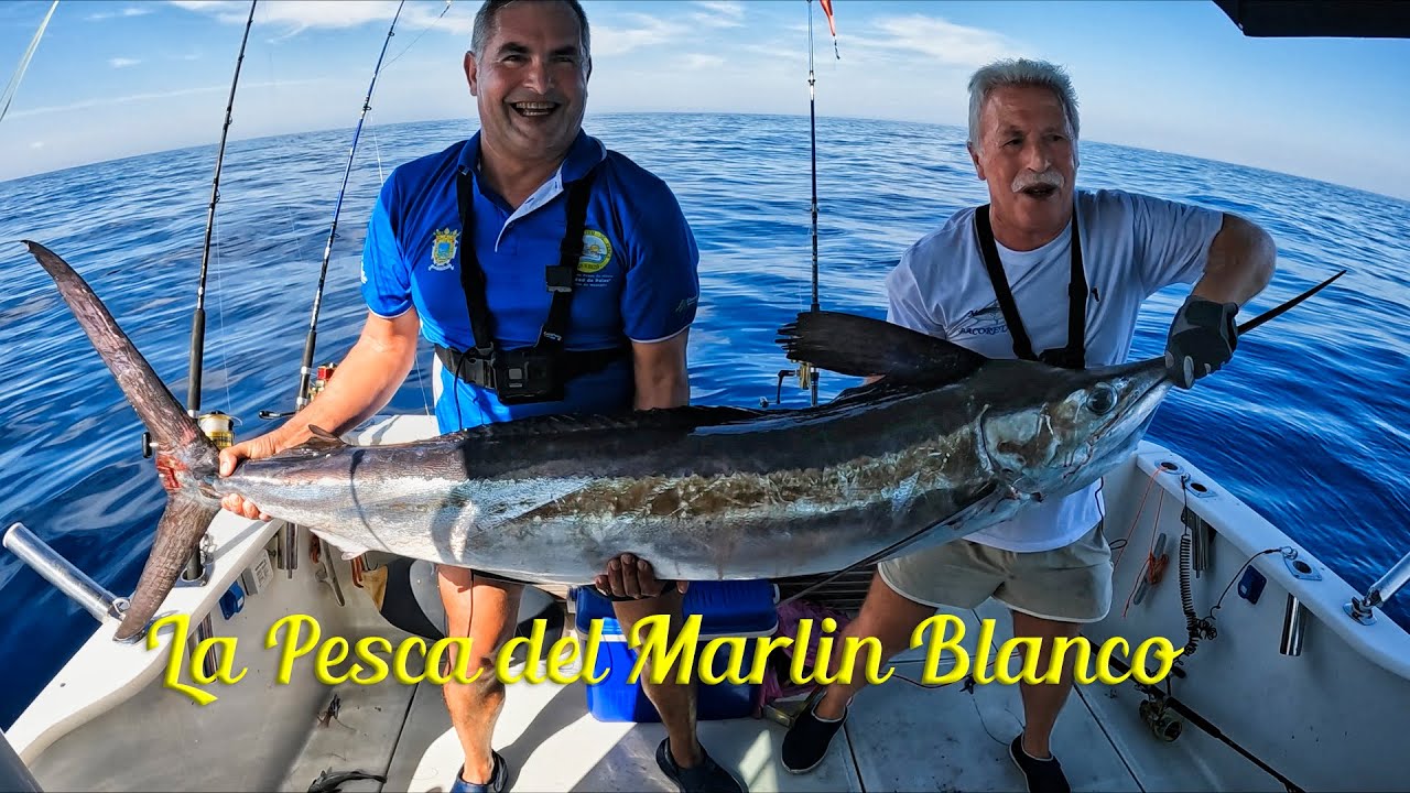 La Pesca del Marlin Blanco (White Marlin Fishing) - YouTube
