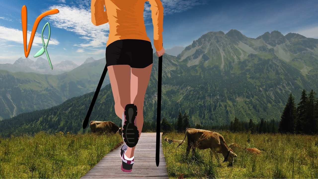 🏃🏼Virtual walking video for treadmill and cross trainer | training ...