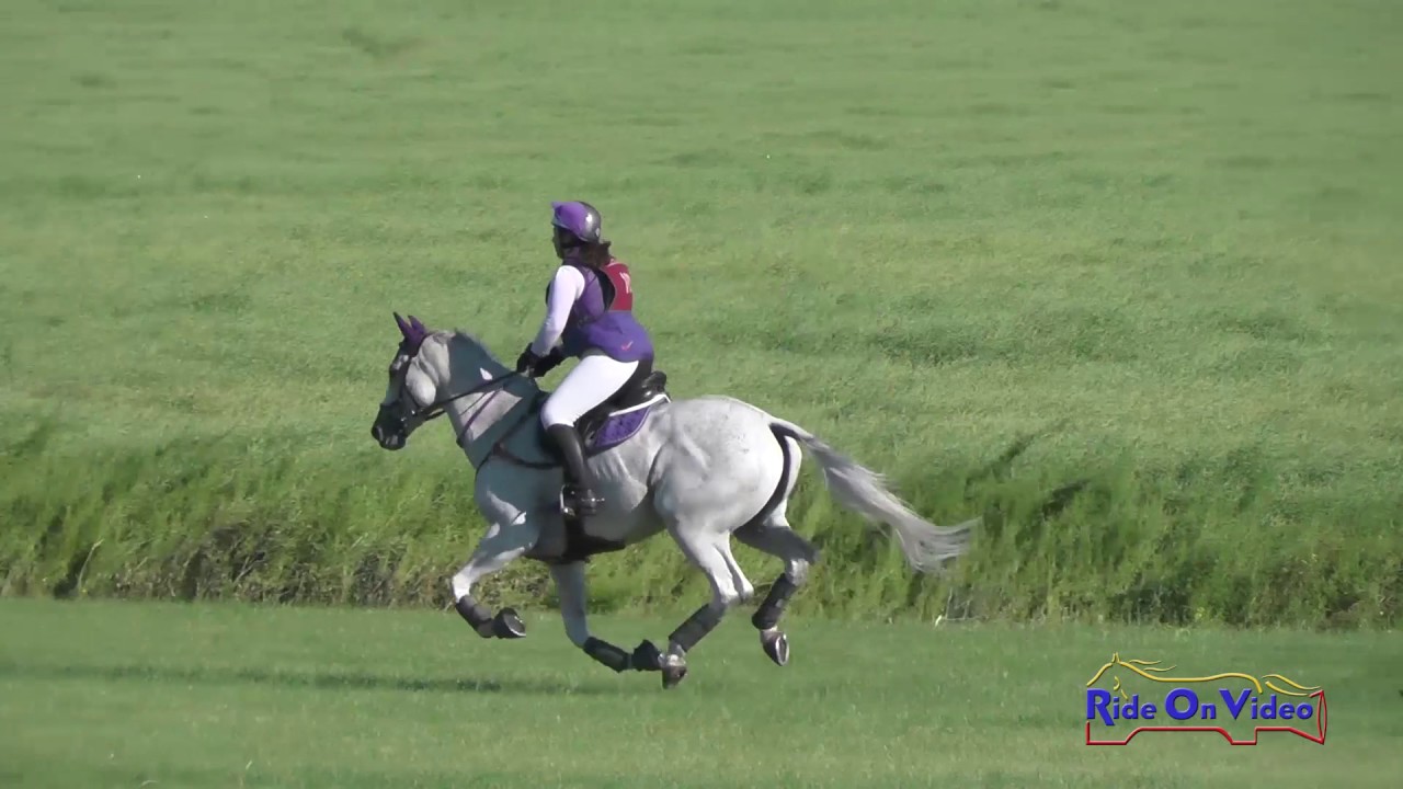199SC Sarah Moseley on Earl of Foxpoint Training 3-Day Steeplechase ...
