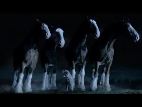 Passenger ~ Let Her Go