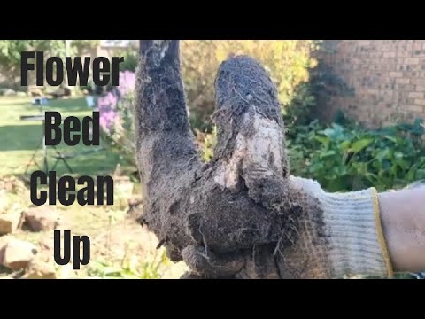 Gardening: South African middle class gardening. Flower bed clean up ...