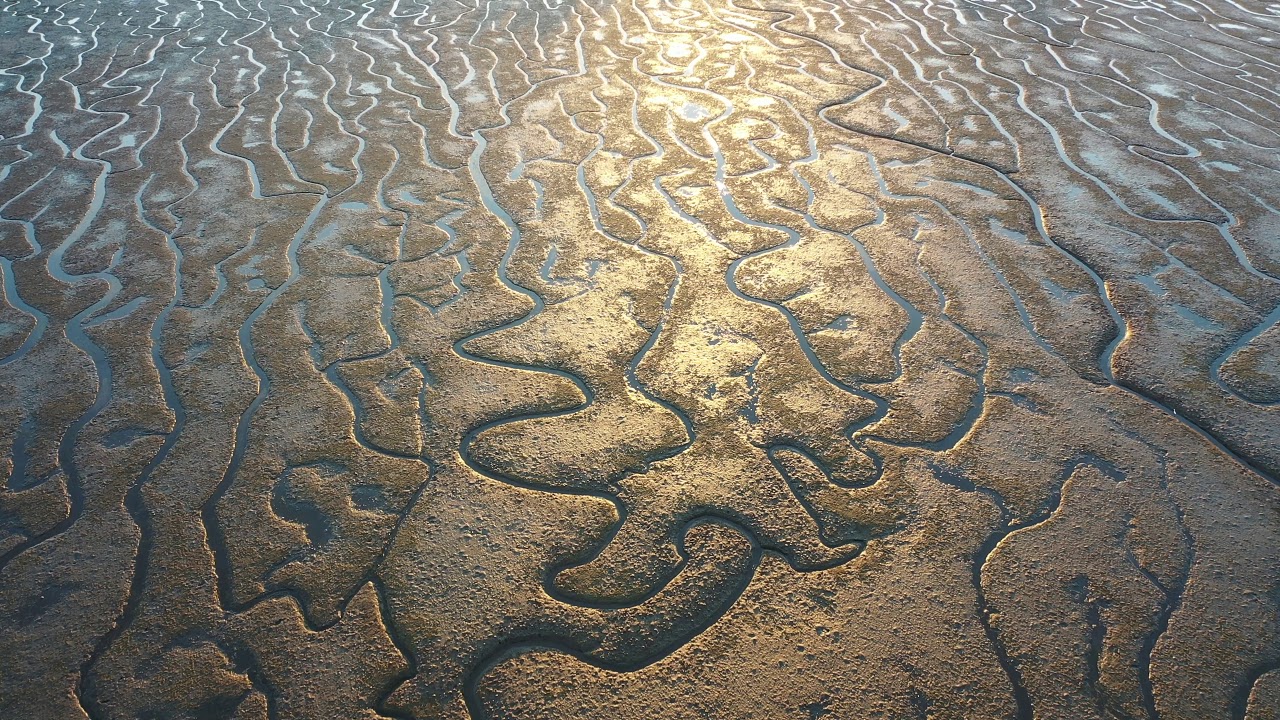 RIver Heads sand flats... - YouTube