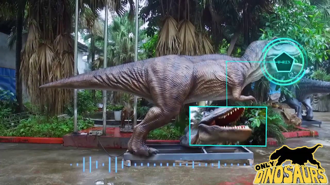 Realistic Dinosaur Animatronic T Rex in Stock SDP-33 - YouTube