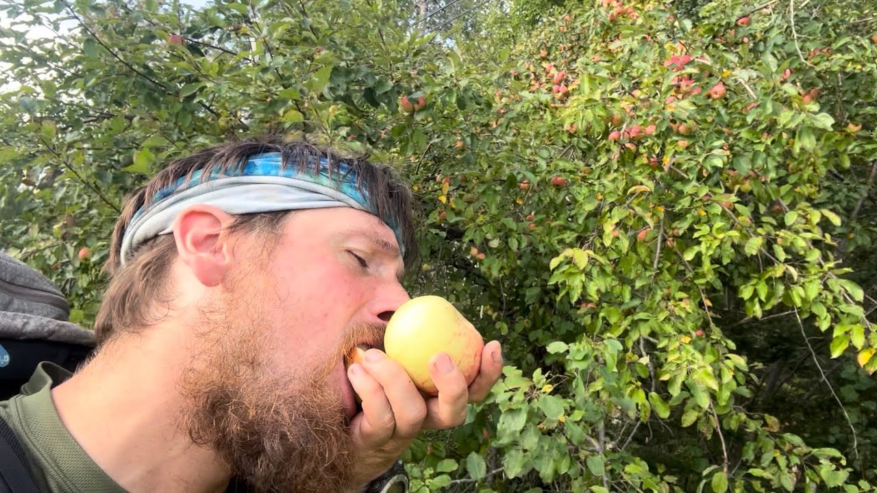 Eating Apples, Day 205 on the Appalachian Trail - YouTube