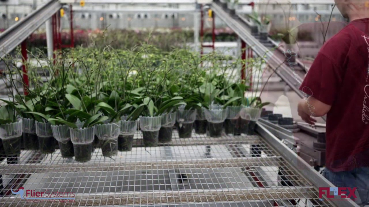 Piko Plant Shipping System - Reference movie - YouTube