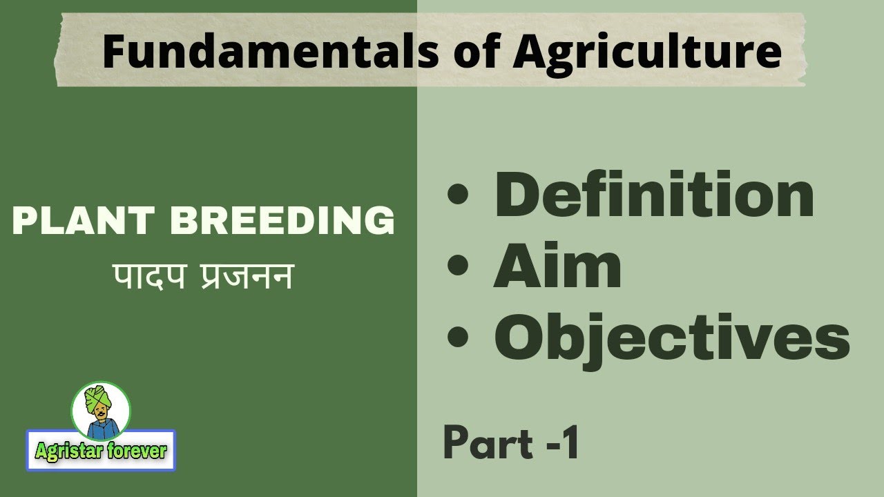 Plant breeding basics #agristarforever #fundamentals - YouTube