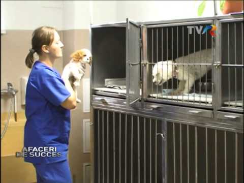 ANDIVET DEVA - YouTube