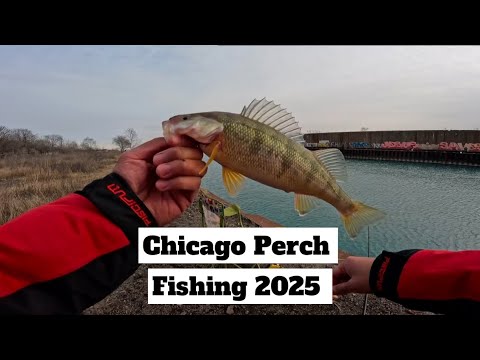 Chicago Perch Fishing 2025 (First Fish of the Year!!) - YouTube