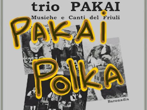 Trio Pakai - SOLO POLKA (musica tradizionale carnica) - YouTube