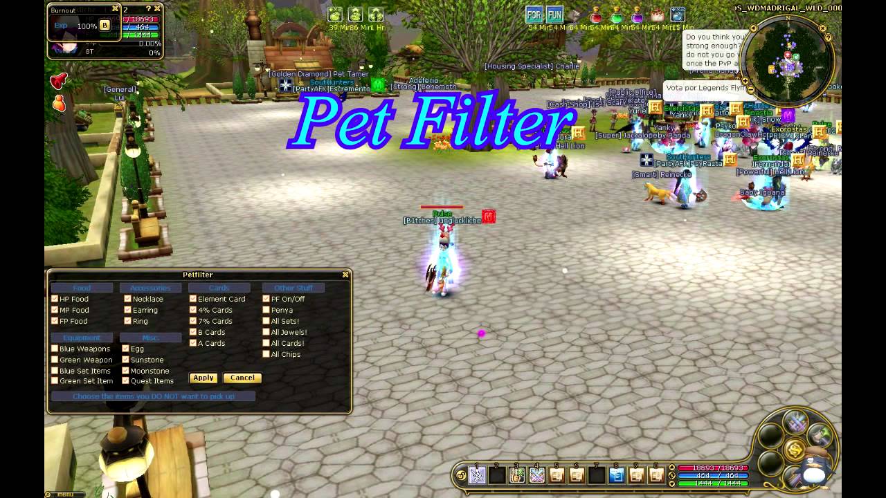 Legends FlyFF v19 - YouTube