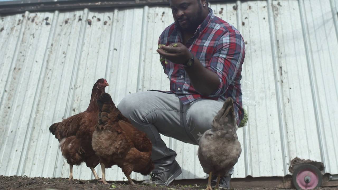Fresh on the Menu - Ramone Dickerson - YouTube