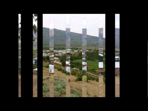 zazalar dıyarı agey