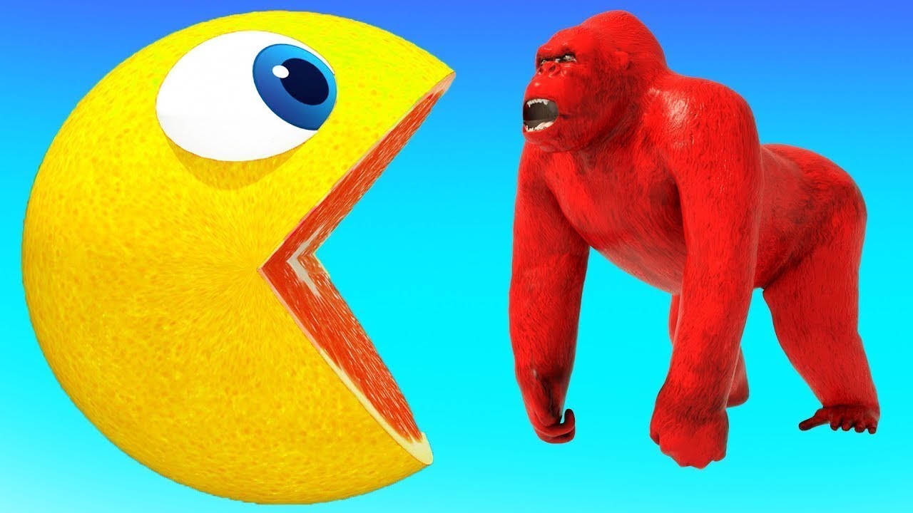 Pacman Watermelon Roll Fun Chase with Friends as he Found on Red ...