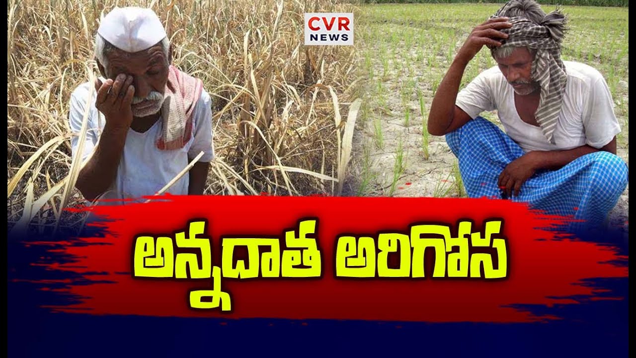 అన్నదాత అరిగోస.. | Farmers Protest | Rythe Raju | CVR News - YouTube