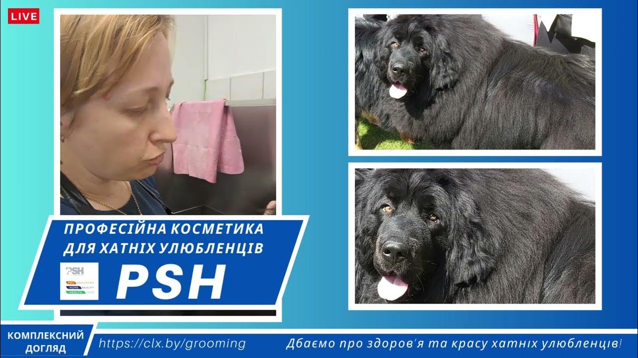PSH косметика: Шампунь для собак чорного окрасу - YouTube
