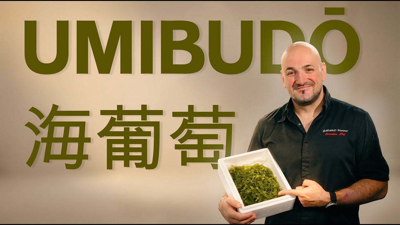 Umibudo d’Okinawa : le raisin de mer - YouTube