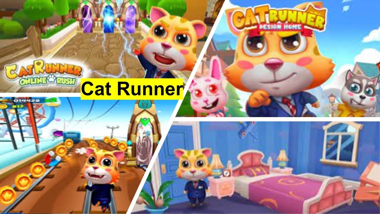 Cat Runner , Let's Play Game - YouTube