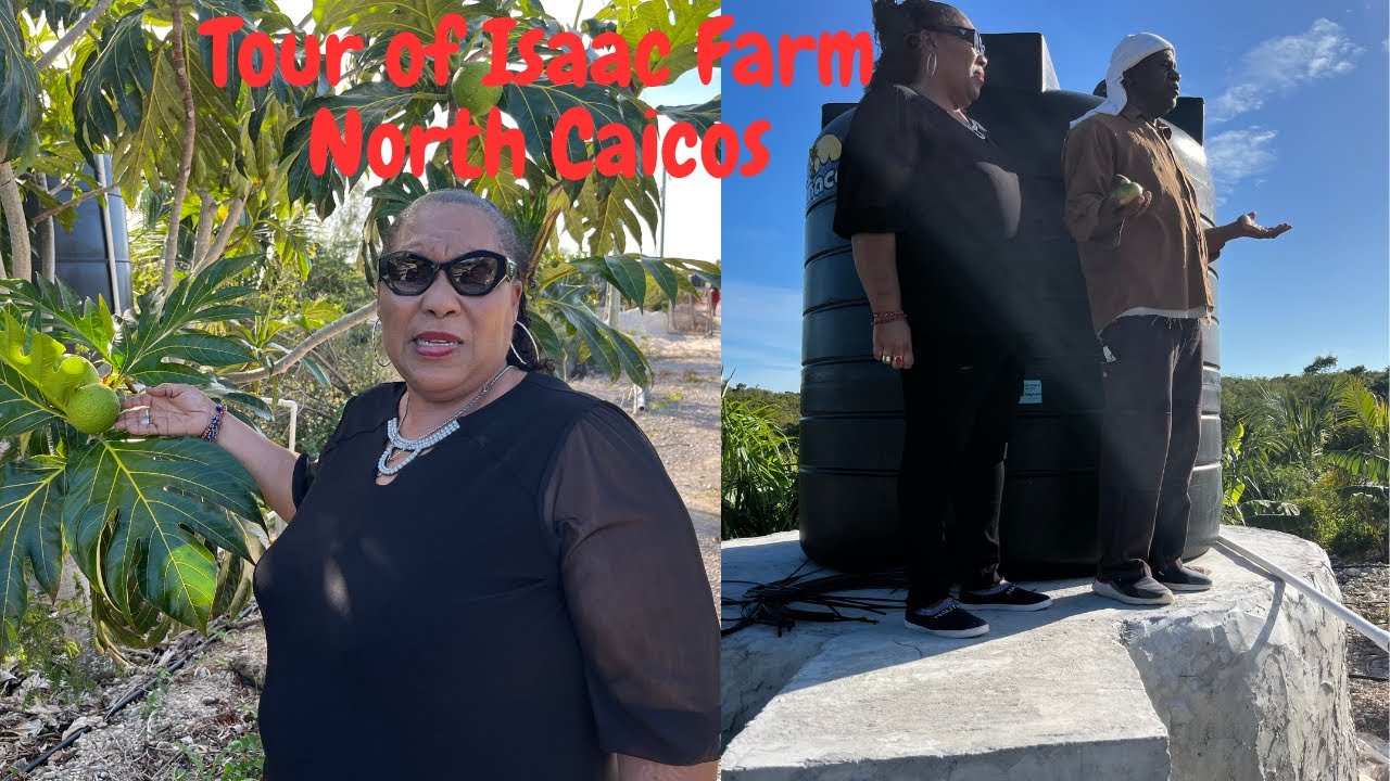 Meet Turks and Caicos Islands' most famous farmer Courtney Missick ...