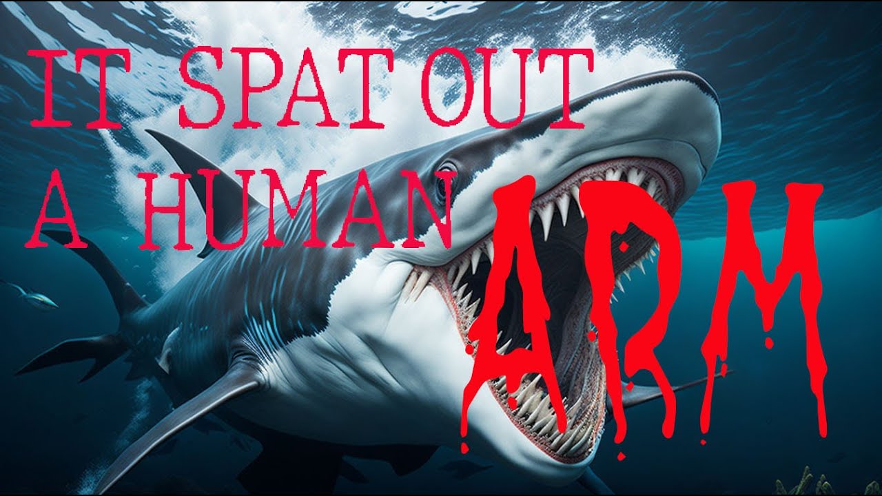 Set a Shark To Catch a Murderer! - YouTube