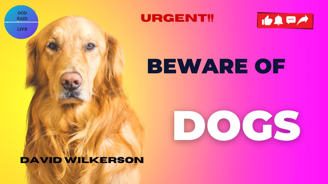 David Wilkerson "Beware of Dogs" #dogs #beware #prayer #sharethisvideo ...