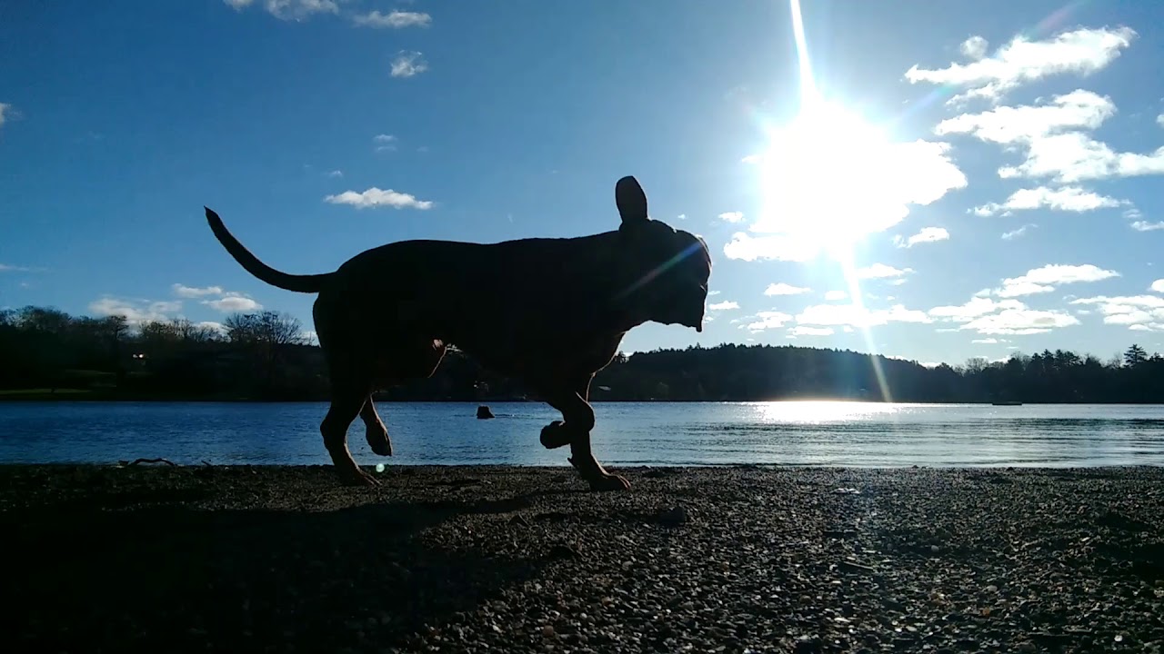 Wim Hoff Method - Ice Bath/small swim!! - YouTube