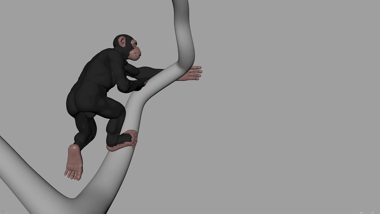 Chimp jump update - YouTube