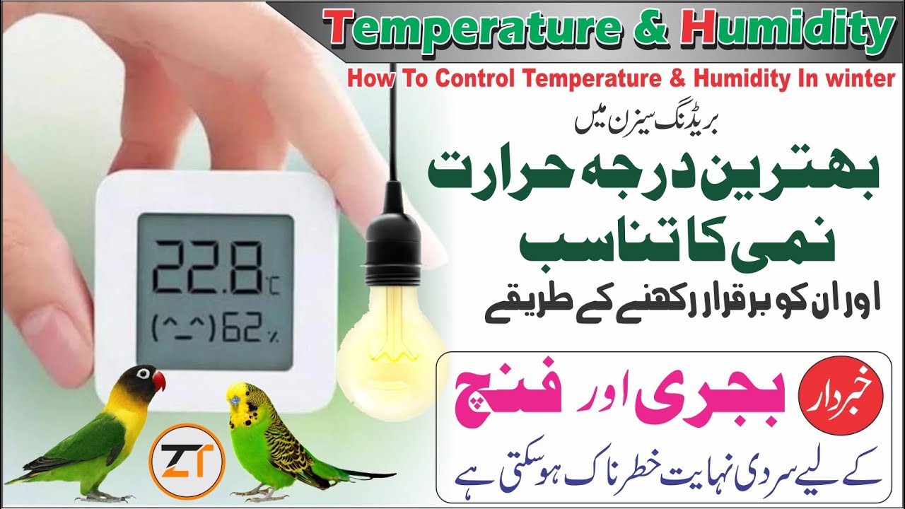 Best Temperature& Humidity for Birds|How To Control Temperature ...