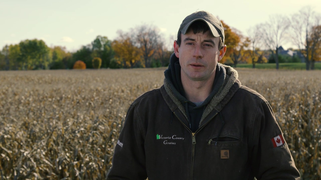 Get to Know Your Grain Farmers (Fall on the Farm) - Matt Hollinger ...