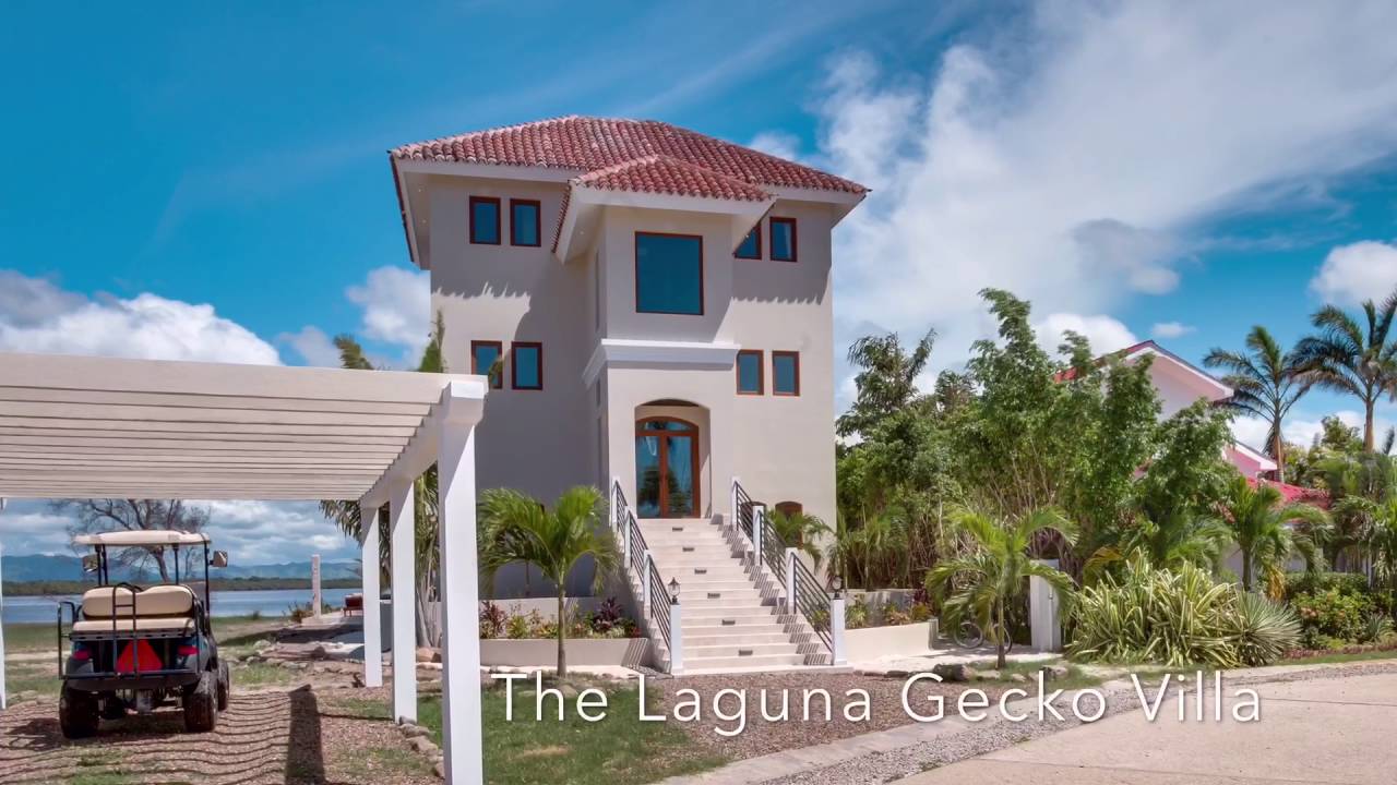 The Laguna Gecko in Placencia Belize - YouTube