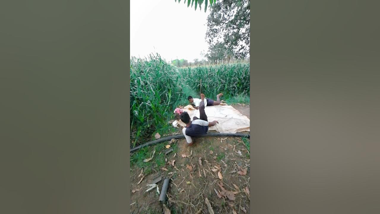 Subah Se Kahe Pani to Pala Diya hoga||#cg niku official || #comdy #sort - YouTube