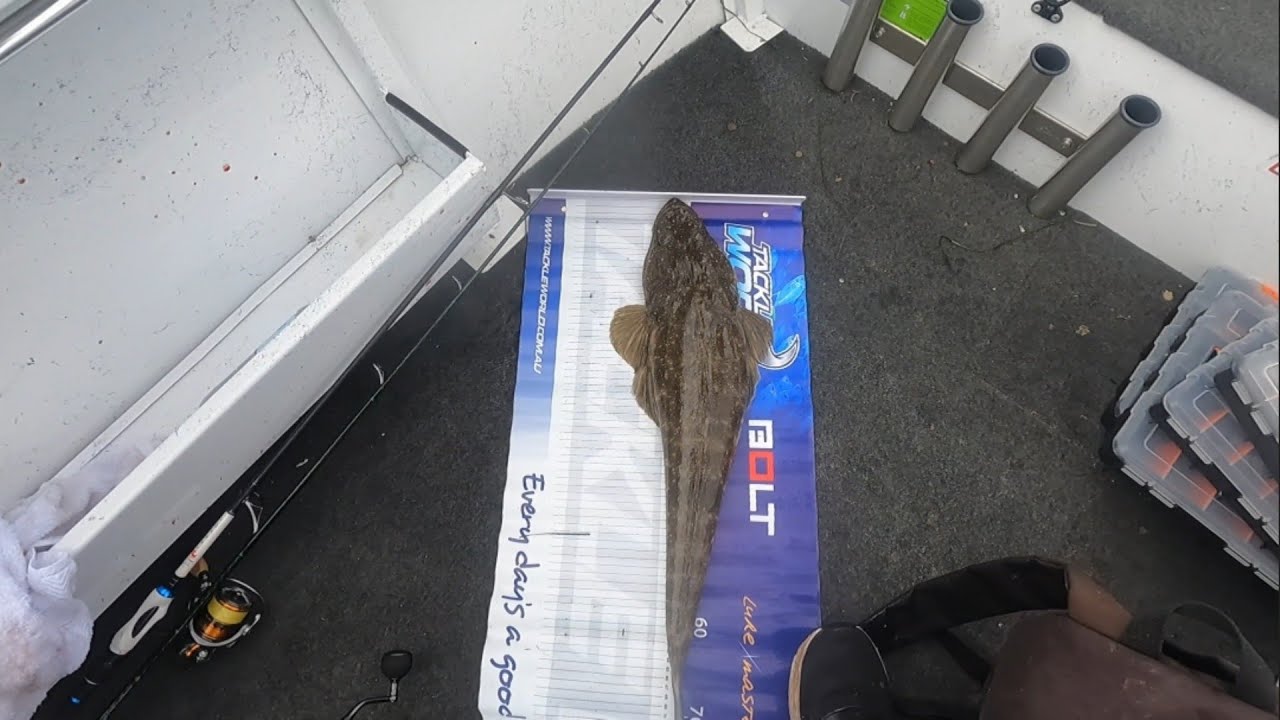 vibe lure fishing session - YouTube