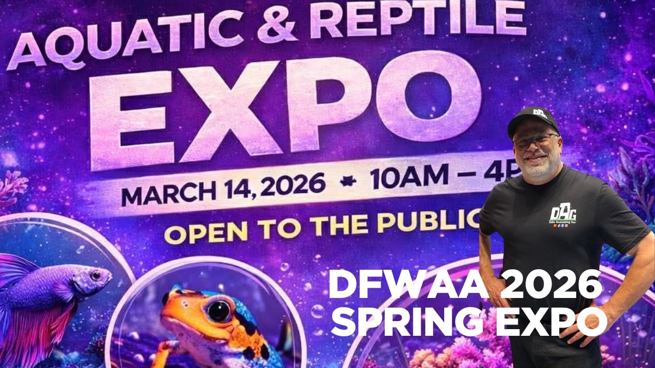 DFWAA Spring Expo 2026 | Fish, Shrimp, Snails, Snake, Aquatic Plants ...