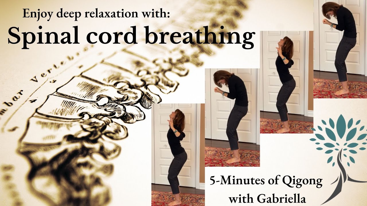 5-Minutes Qigong: Deep Relaxation with Spinal Cord Breathing. #qigong ...
