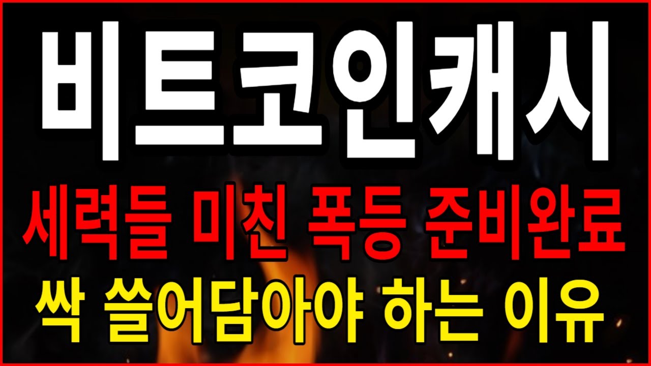 비트코인캐시 세력들 미친 폭등 준비완료 싹 쓸어담아야 하는 이유 공개 비트코인캐시코인비트코인캐시코인전망 Youtube