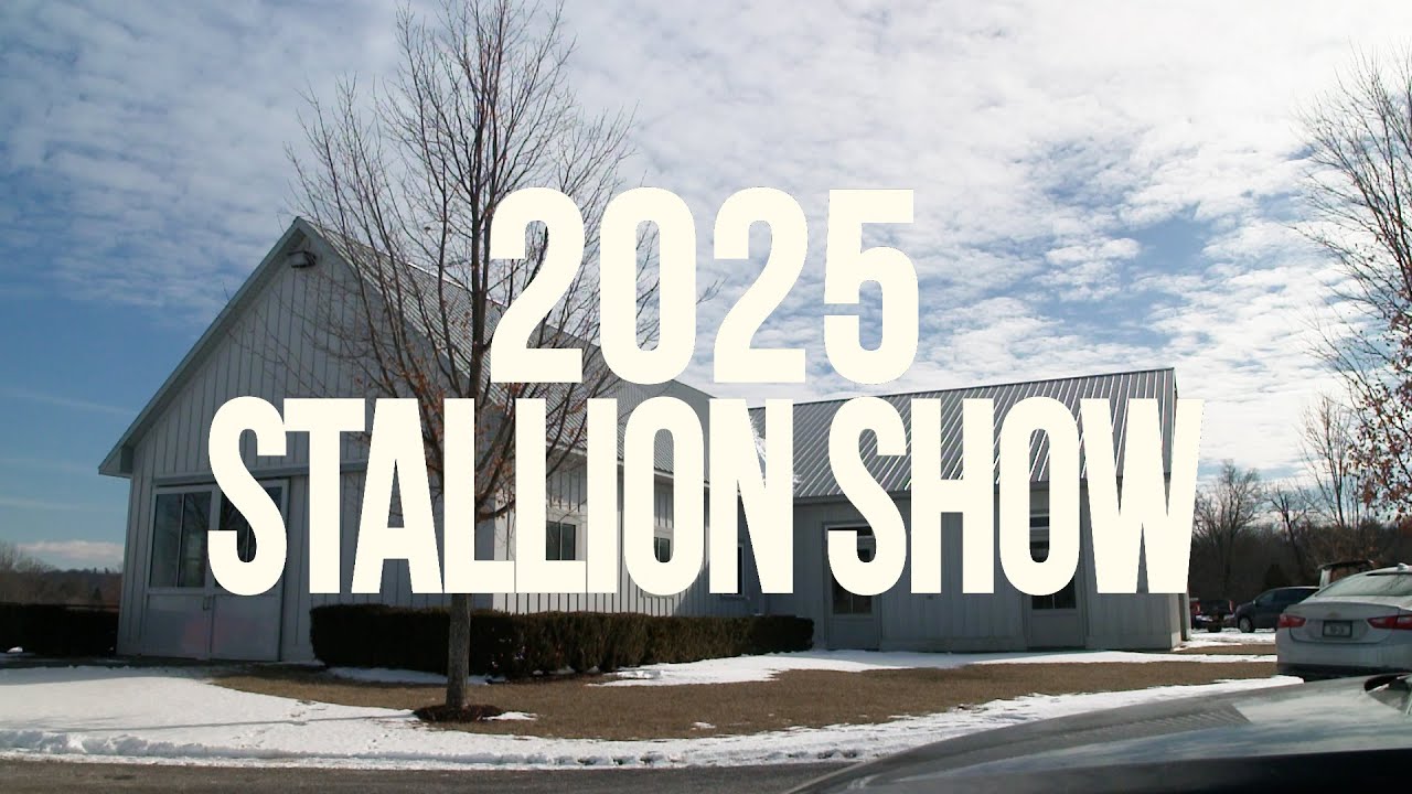 2025 SEQUEL NY STALLION SHOW - YouTube