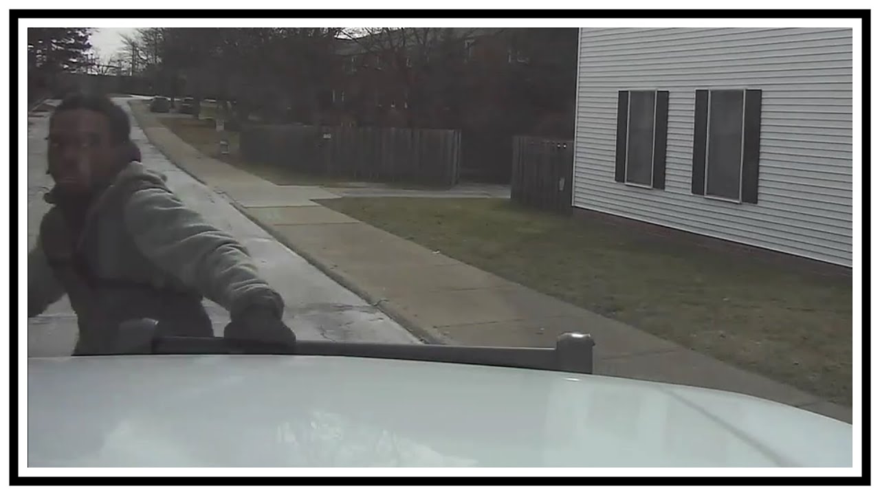 Police Officer Body Cam & Dash Cam Compilation 🐼 𝕄𝕤. ℙ𝕒𝕟𝕕𝕒'𝕤 𝔻𝕖𝕟 🐼 2019 ...